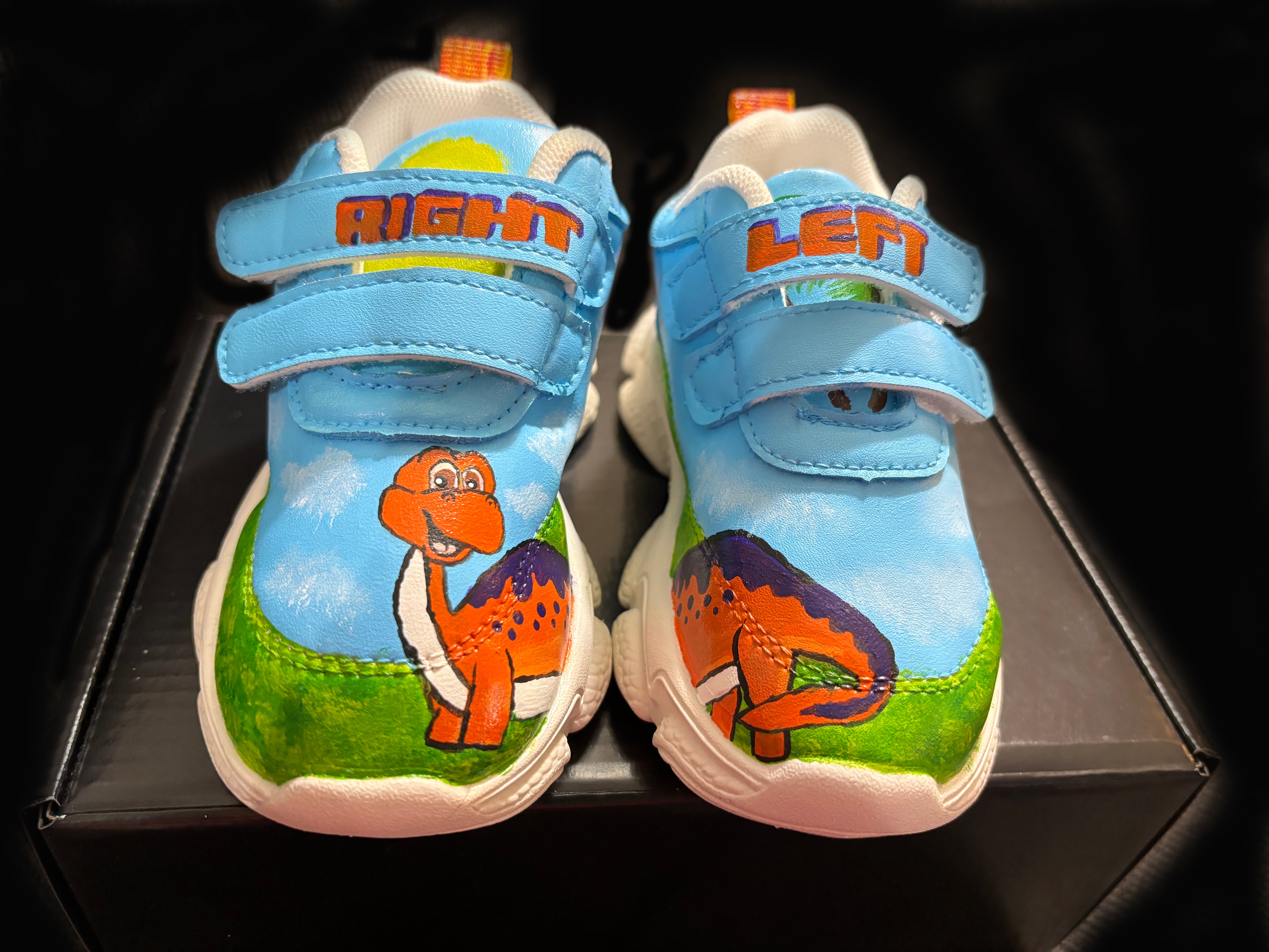 Custom Hand Painted Shoes – LDR Customs